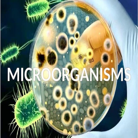 Science Class 8 microorganisms (1).pptx