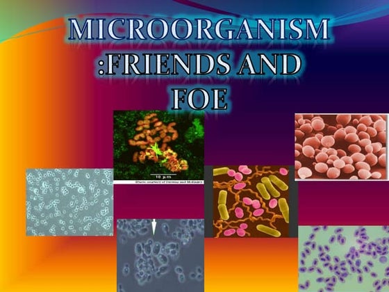 Grade 8: Microorganisms. | PPTX | Biological Sciences | Science