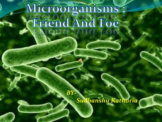 Microorganisms | PPT