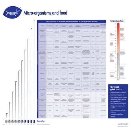 Microorganisms and food_chart | PPT