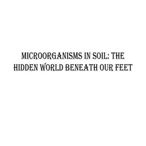 Microorganisms in Soil.pptx.............. | PPT