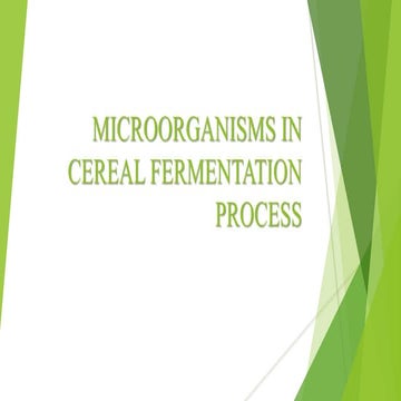 MICROORGANISMS_IN_THE__FERMENTATION_PROCESS_OF_CEREALS.pptx
