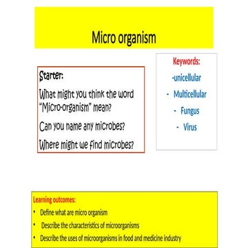 Year 7 CAIE Types of Micro organism slides.pptx