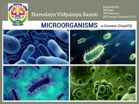 microorganisms: friend and foe class 8(vishakha) | PPTX | Infectious ...
