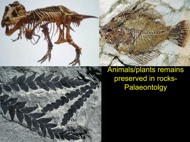 Meteorites Lecture Introduction Types Meteor Ppt
