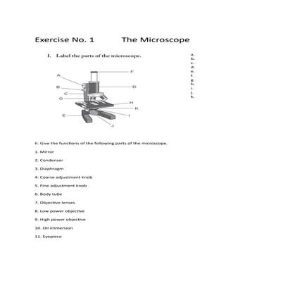 Microbiology & Parasitology Exercises Parts of the Microscope | DOCX