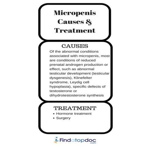 Micropenis Causes And Treatment PDF