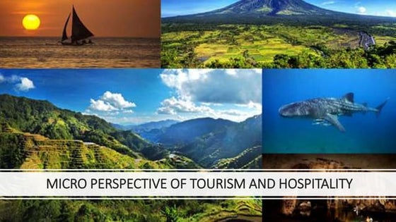 Micro perspective of tourism and hospitality | PPTX | Travel Type | Travel
