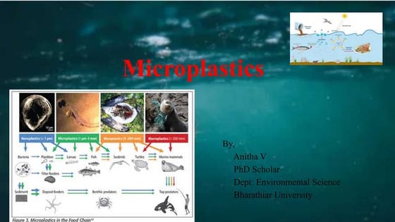 Microplastics | PPTX | Science