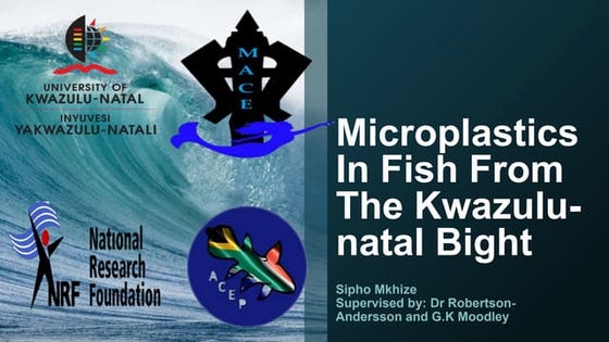 Microplastic Pollution - Presentation | PPTX | Environment | Science