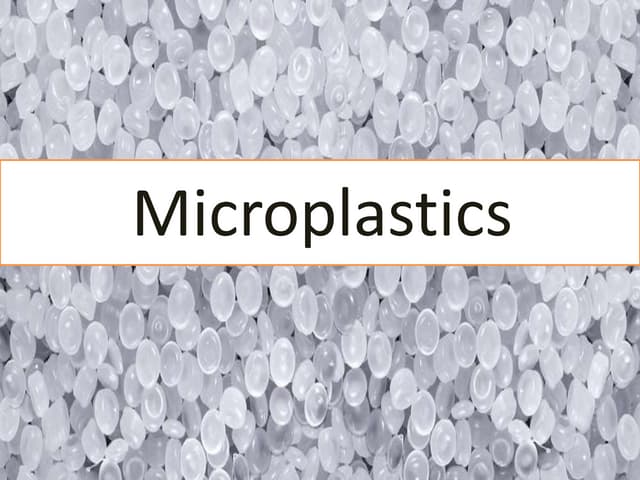 Microplastic Pollution - Presentation | PPTX