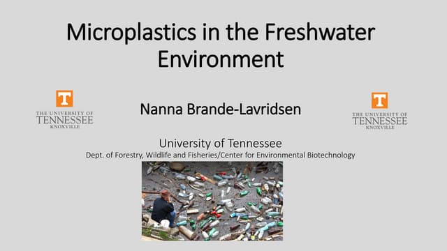 Microplastic Pollution - Presentation | PPTX