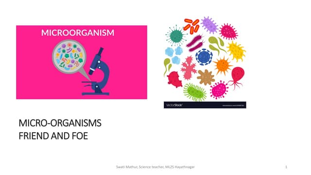 Harmful and Useful Microorganisms Presentation | PPTX
