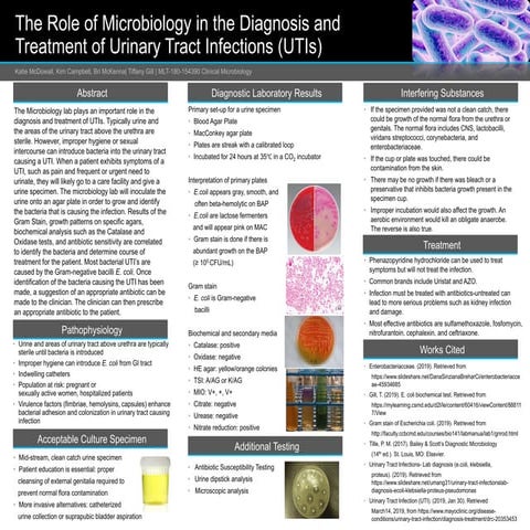 Micro presentation UTI | PPTX