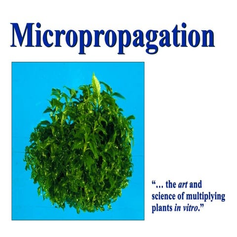 Microprop (1) | PPT