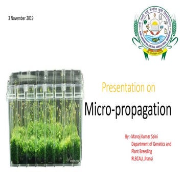 Micropropagation | PPTX
