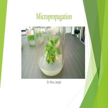 Micropropagation.pptx