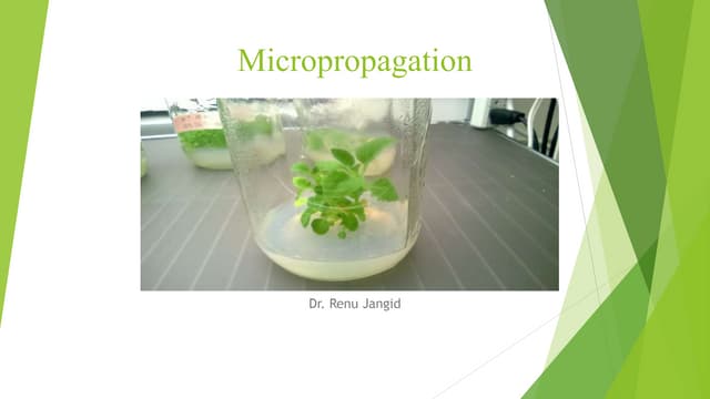 Micropropagation stage, plant tissue culture | PPT