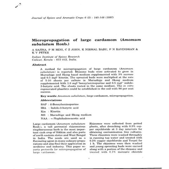 Micropropagation of large_cardamom_amomu (1) | PDF