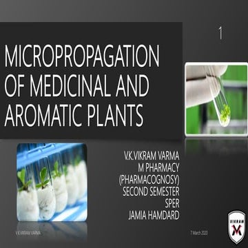 Micropropagation | PPTX