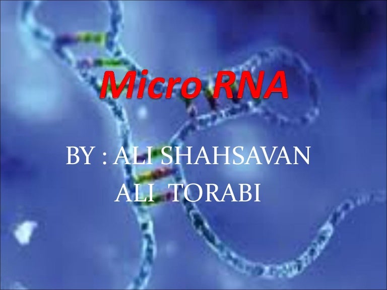 Micro rna