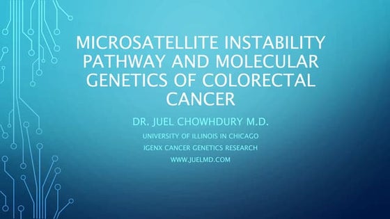 State-of-the-Art Solutions for Myelofibrosis: The Intersection of JAK ...