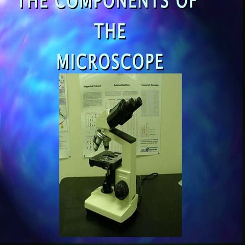 Microscope | PPT