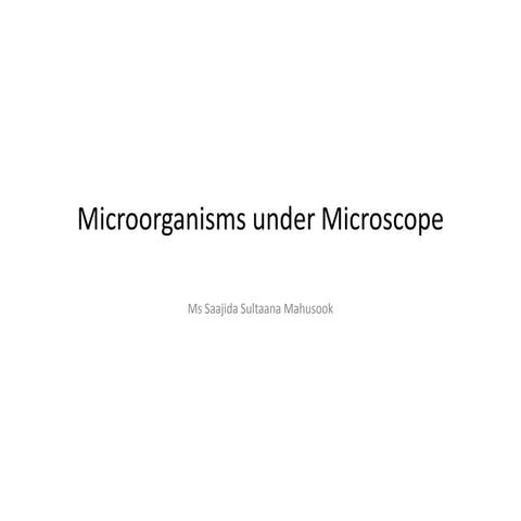 Microorganisms under Microscope | PPTX