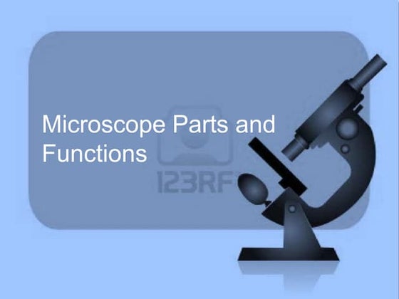Understanding The Microscope | PPT