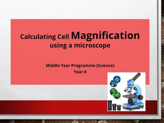 IGCSE Year 7 Biology : Using Microscopes | PPT | Photography | Arts and ...