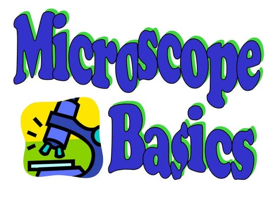 Microscope parts and functions | PPT