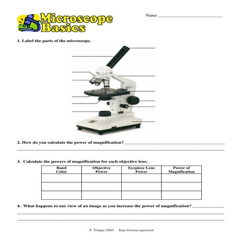 Microscope Basicswkst | PDF