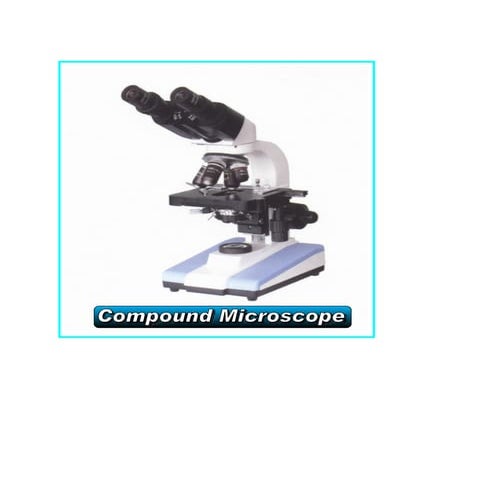 Microscope Color | DOC
