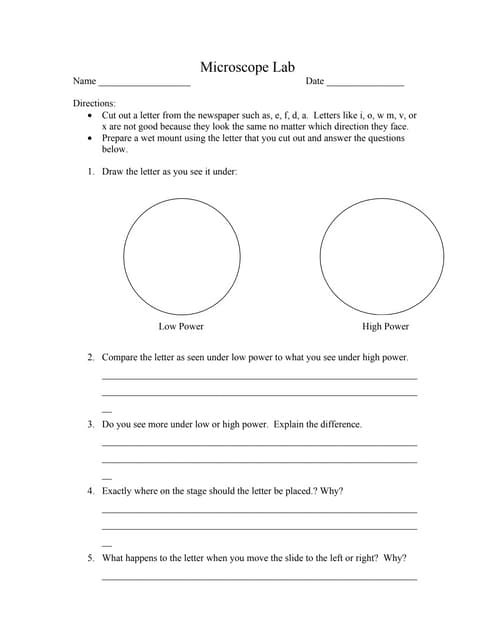 The Cell Theory Timeline | PPTX | Biological Sciences | Science