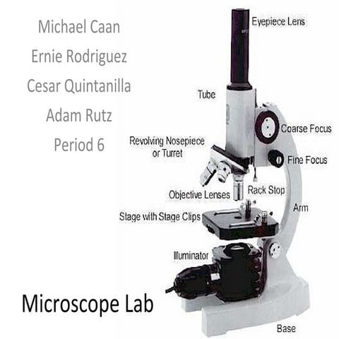Microscope lab | PPT