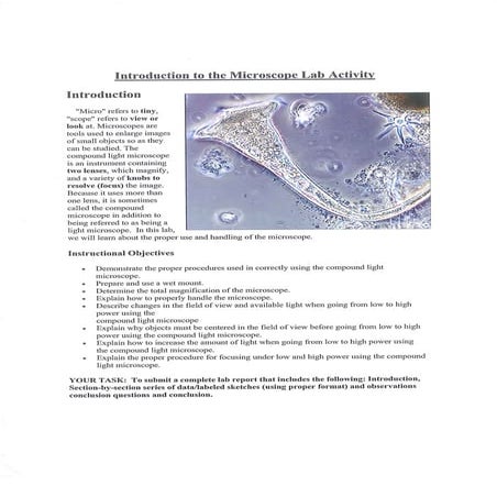 Microscope lab | PDF