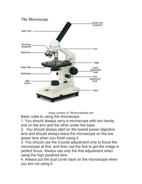 Biology label part of microscope | DOCX