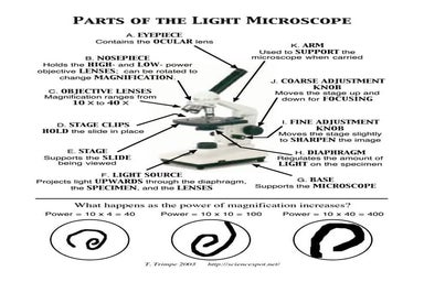 Label Microscope Diagram