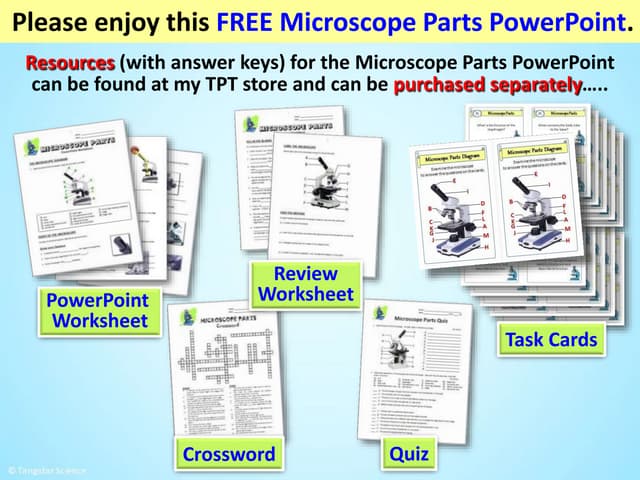 History of the Microscope | PPT