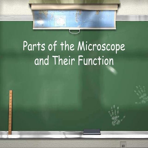Microscope_Presentation (1).ppt