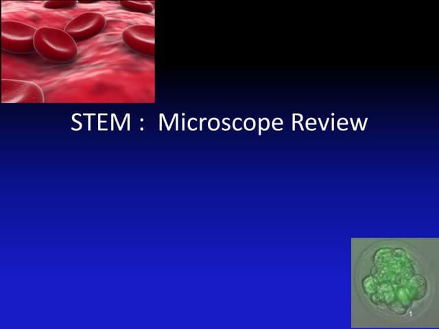 Microscope Basics Powerpoint for 7th Grade | PPTX