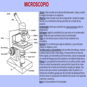 PREPARACION DE MUESTRAS PARA SU OBSERVACION AL MICROSCOPIO OPTICO | PPTX