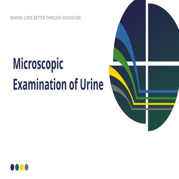 cytology of urinary tract | PPTX