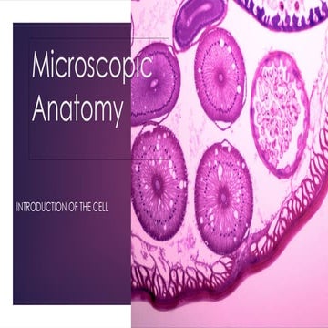 Microscopic Anatomy modulejjjiuuuuujiiiu | PPTX
