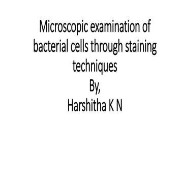 Microscopic examination of bacteria.pptx