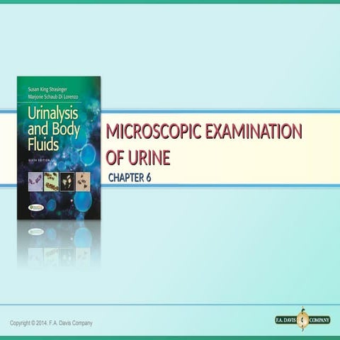Microscopic exam of urine and Patholgy in Animals. | PPT