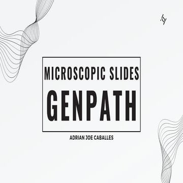 MICROScopIC SLIDES.pdf