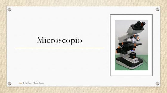 7. El_Microscopio.pdf el microscopio y sus partes | PPT