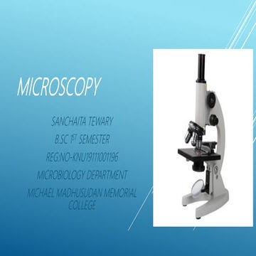 Microscopy.slide.sanchaita.12