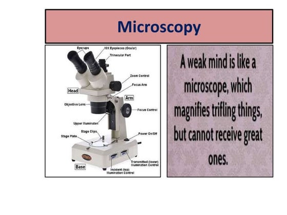 1. MICROSCOPY - introduction + principle (Basics) | PDF